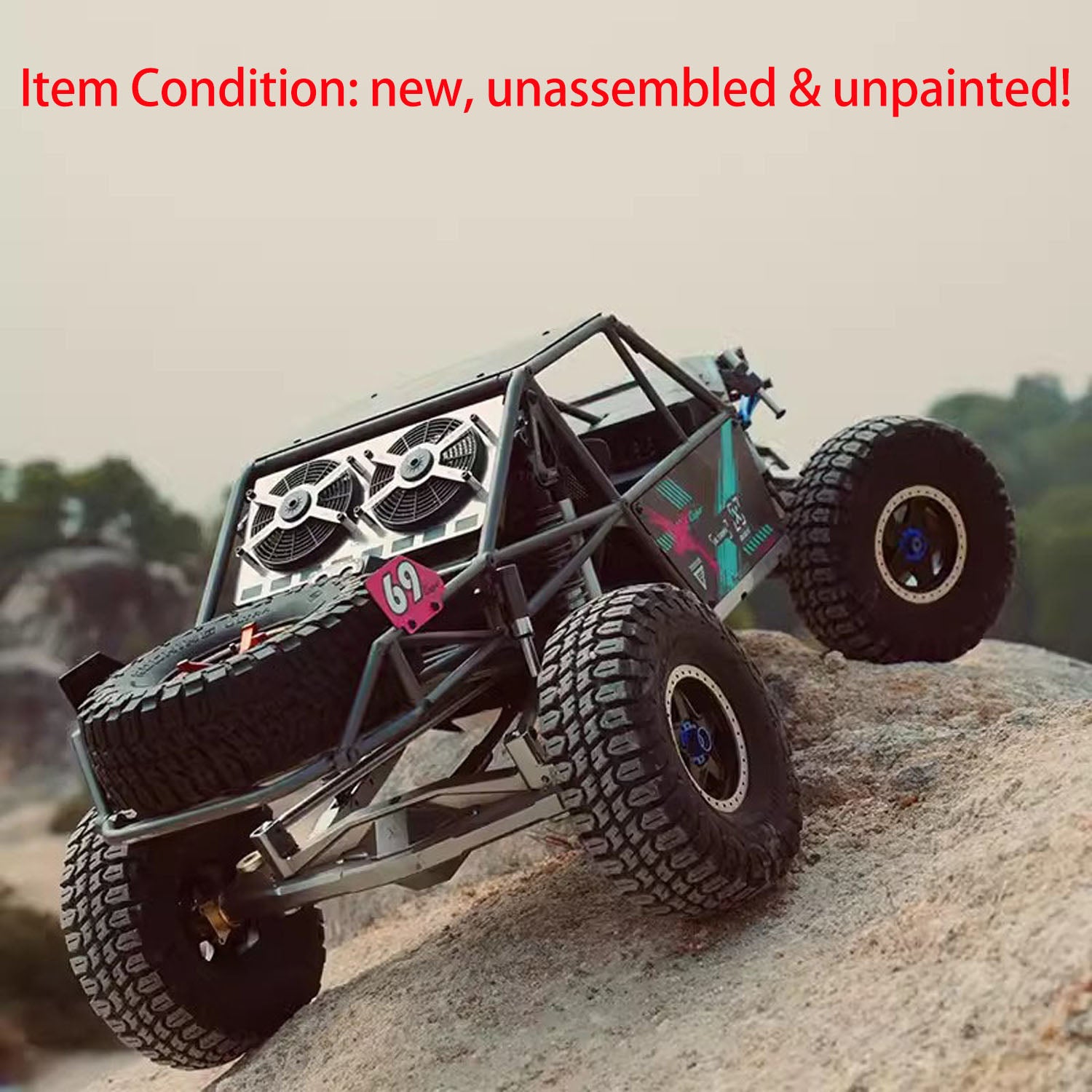 IN STOCK Capo U4 CD1582X Queen 1:8 Remote Control Crawler Car RC Racin ...